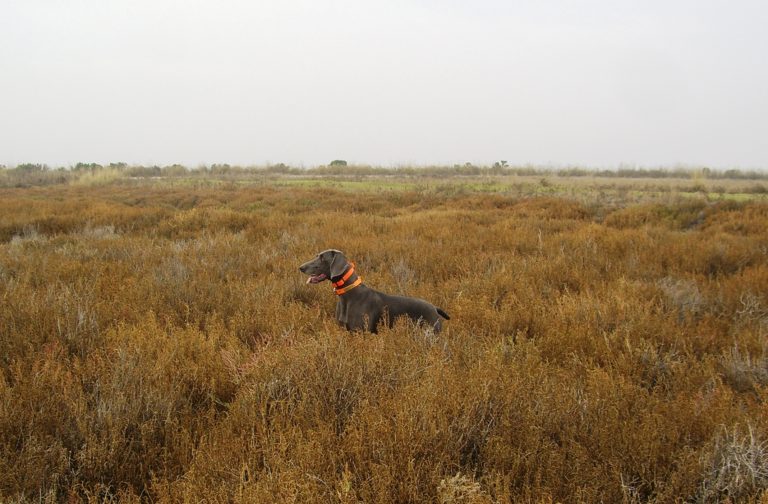 Hiking in Hunting Season: Top 7 Safety Tips - Gaia GPS
