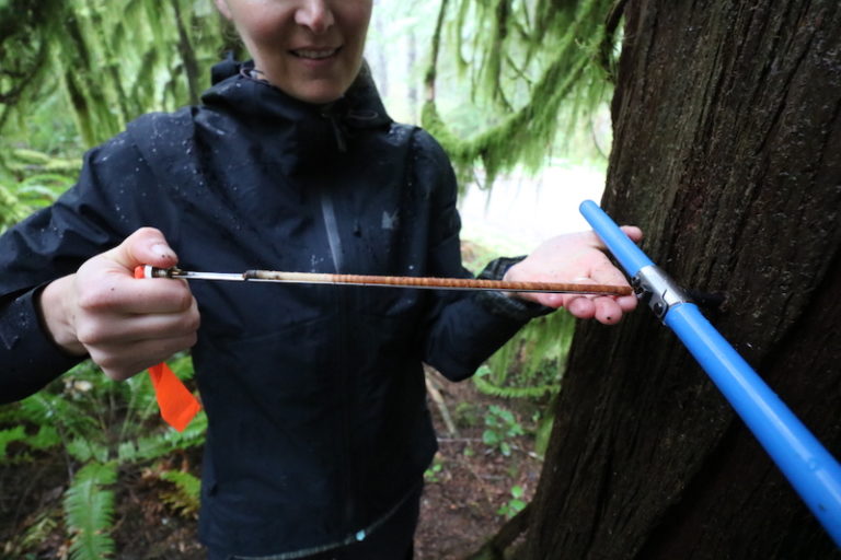 How Scientists are Saving Trees with Gaia GPS (And How You Can, Too)