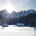 Buried Alive: Bruce Tremper Shares His Avalanche Story - Gaia GPS