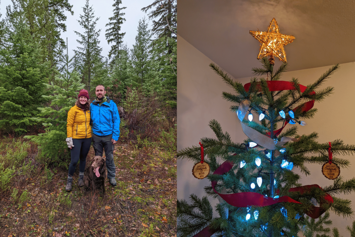 How to Find a Christmas Tree Using Gaia GPS - Gaia GPS